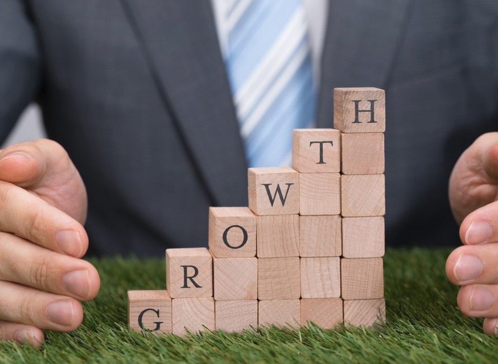 The Essential Two-Business Model for Growing Your Property Portfolio