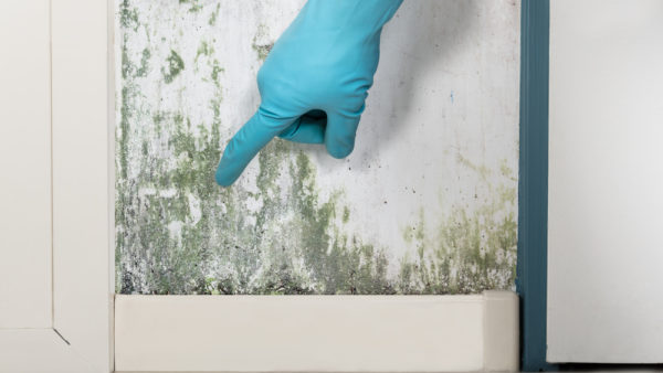 How to Treat Rising Damp in Walls: Causes & Cost