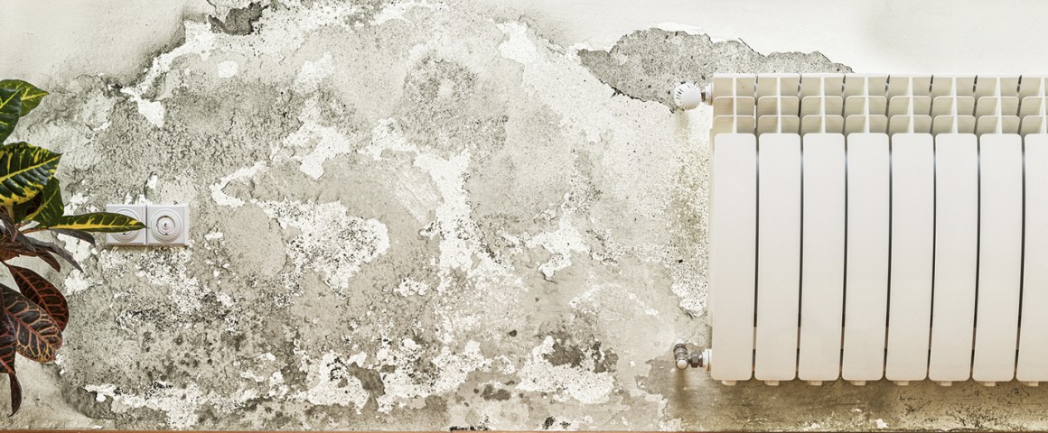 How to Treat Rising Damp in Walls: Causes & Cost