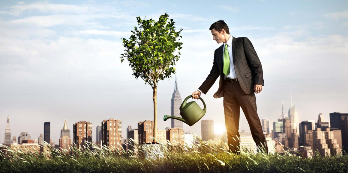 What Type of Investor are You?