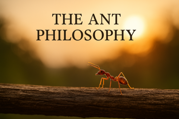The Ant Philosophy | Jim Rohn
